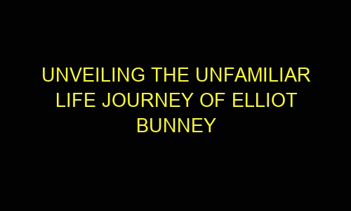 Unveiling the Unfamiliar Life Journey of Elliot Bunney - Newbegun